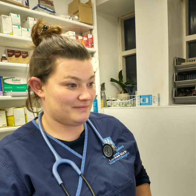 Our Team – Derwent Valley Vets